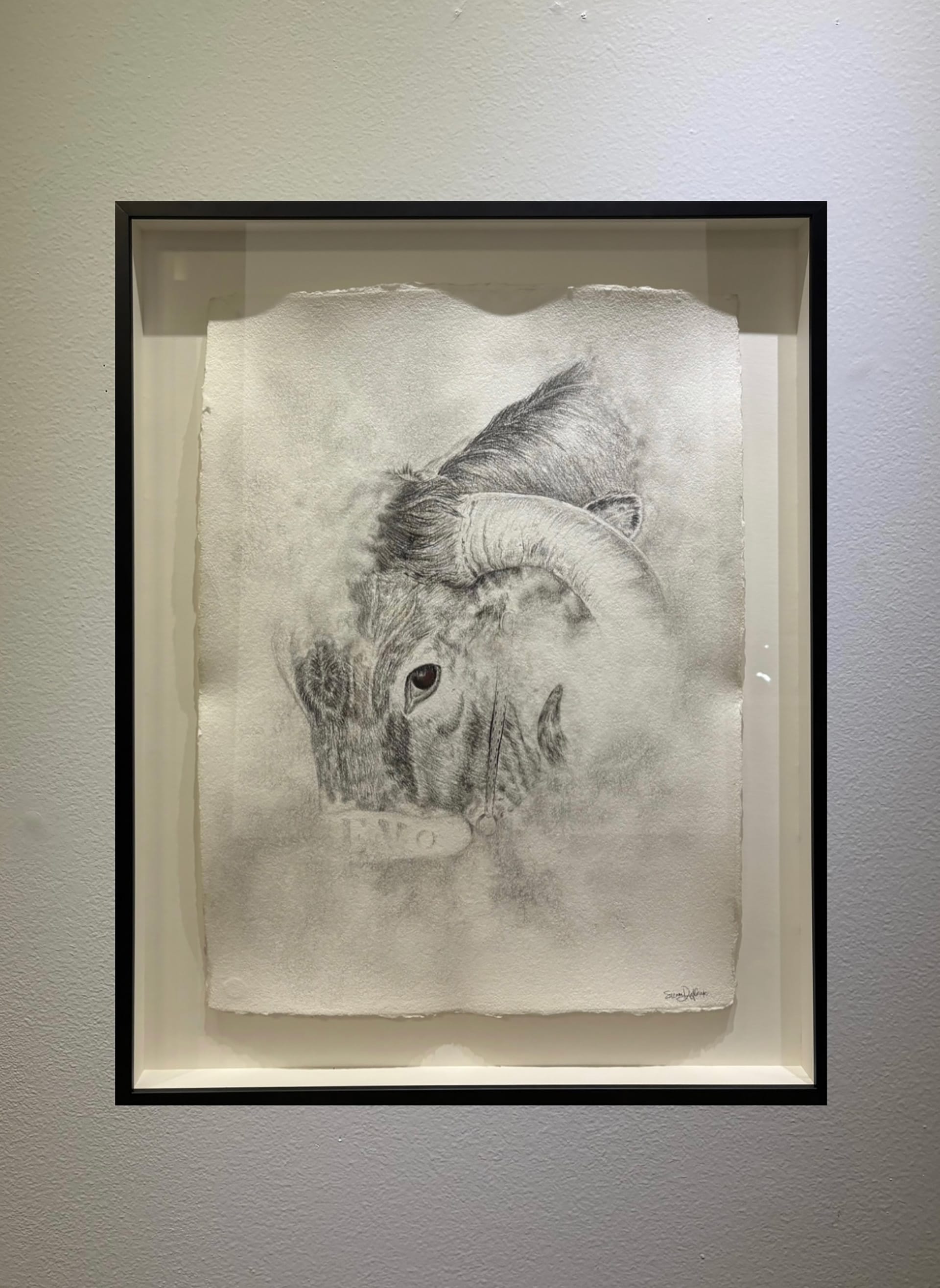 Red Eye – Sienna Del Conte Art